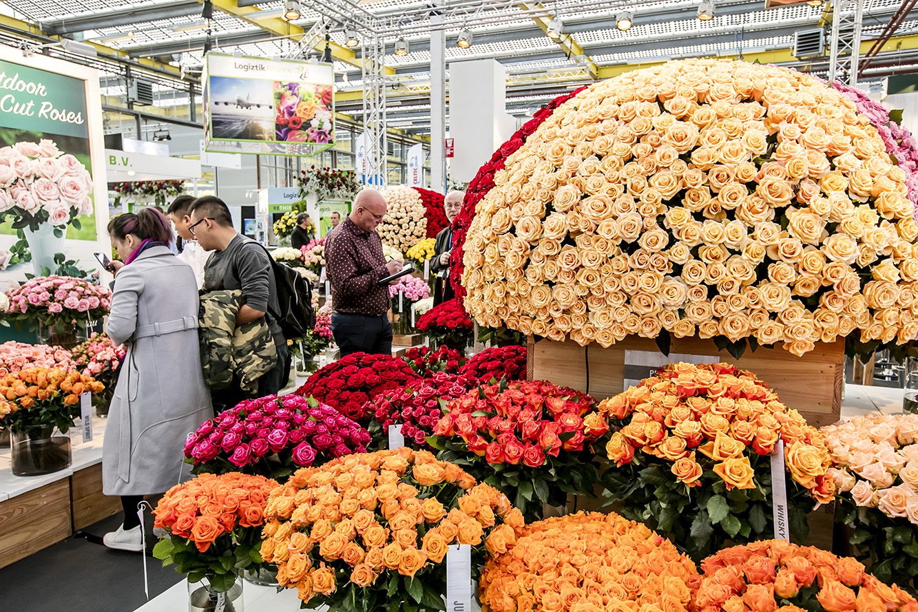 Groothandel Zijden Bloemen Belgie - Bloemen